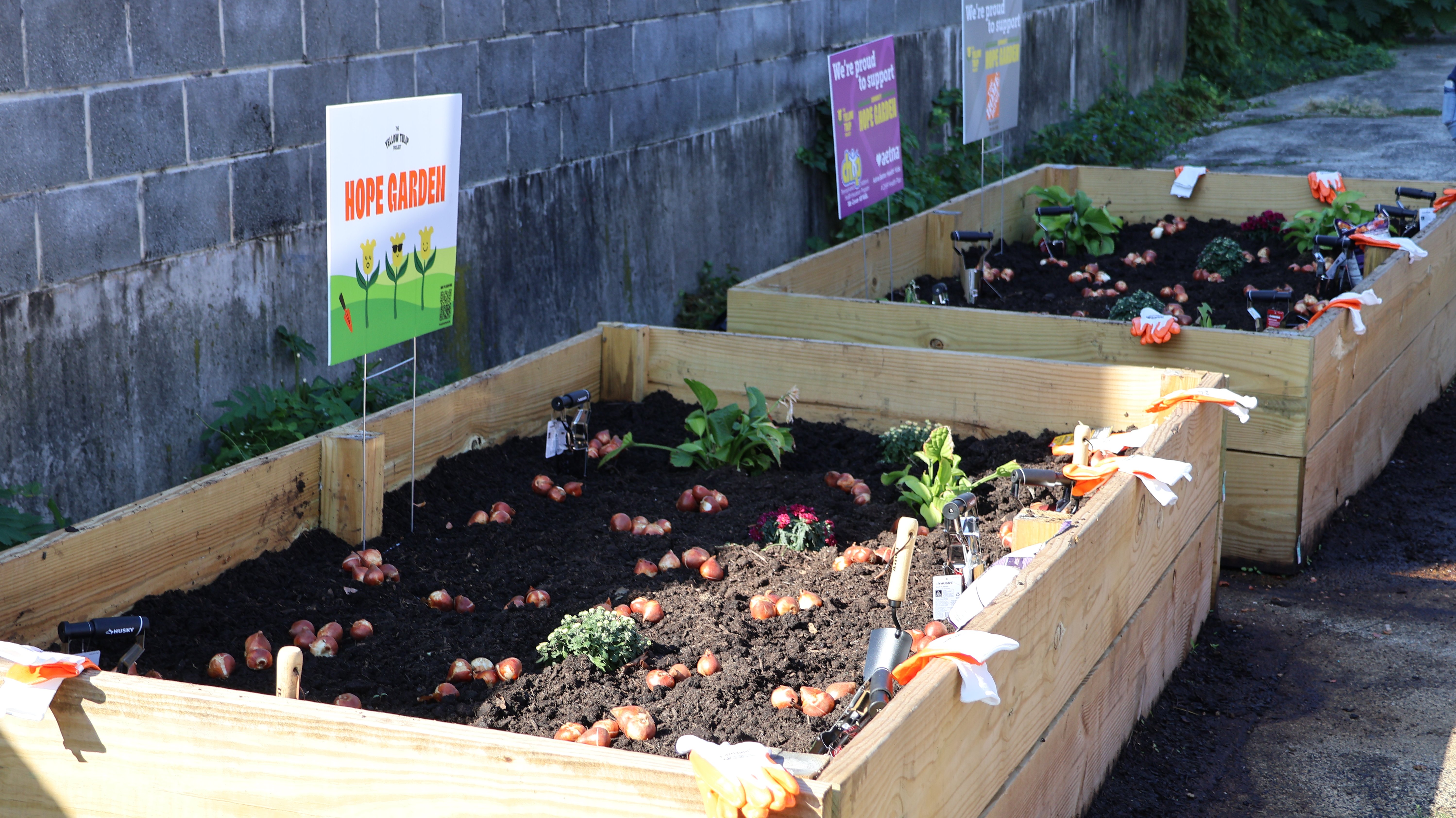 ECS Plants Hope Garden